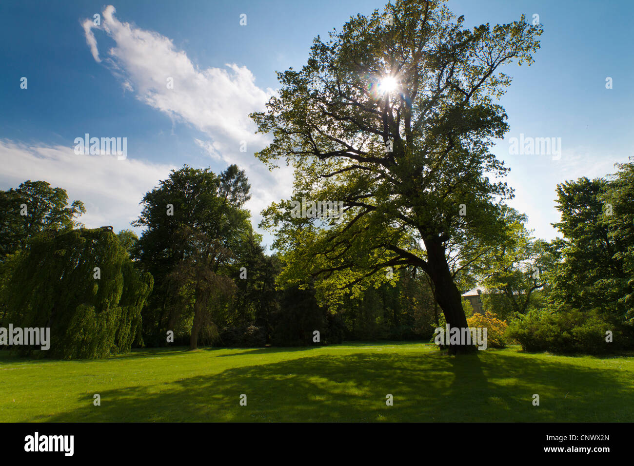 Surrounded by photographs hi-res stock photography and images - Alamy
