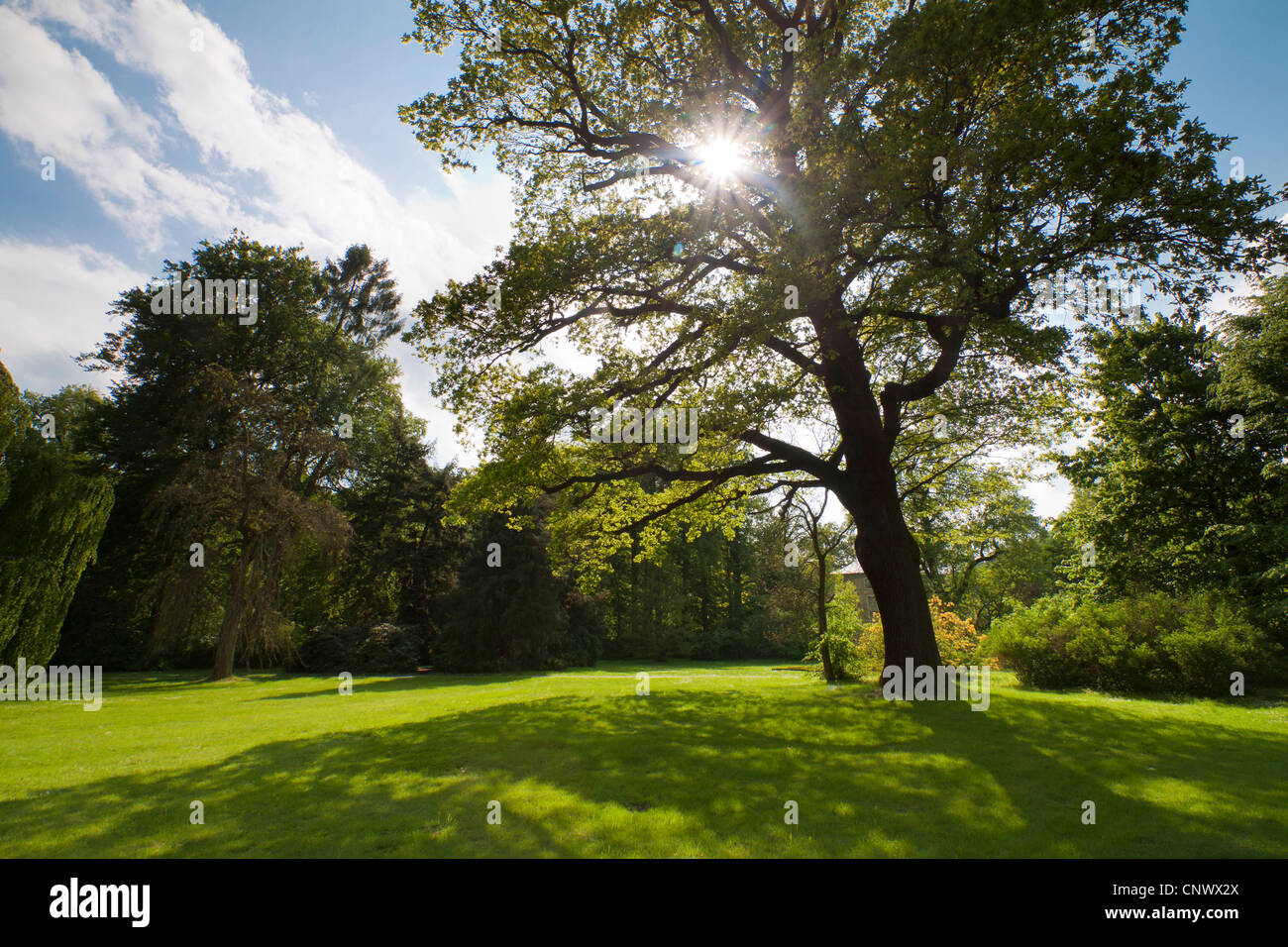 meadow surrounded by bushes and trees at the palace garden, Germany ...