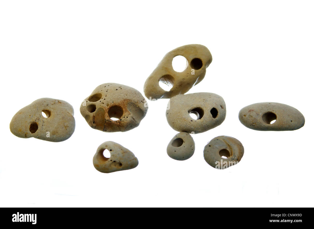 Perforated stones isolated on white Stock Photo - Alamy