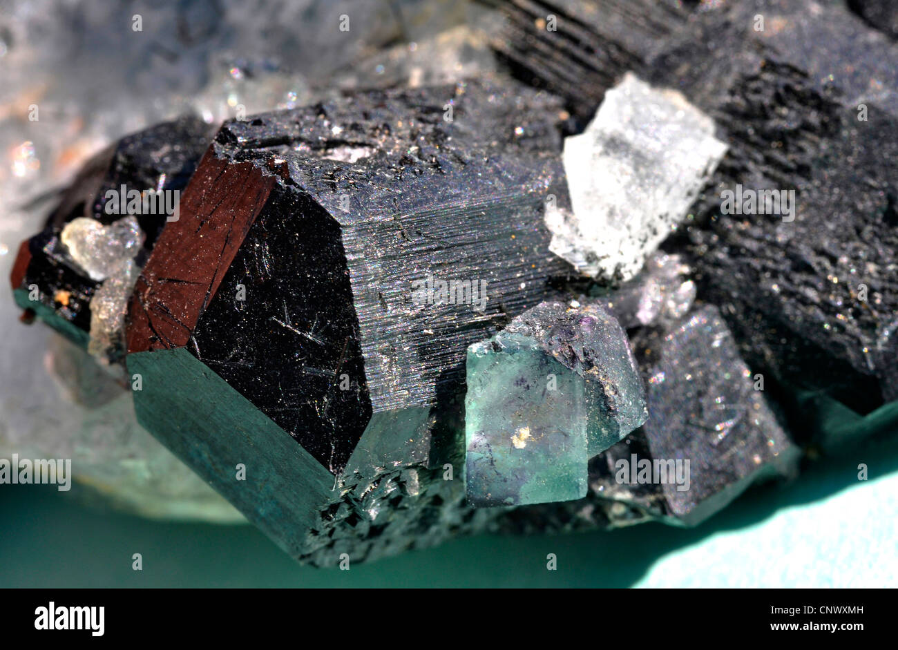 black tourmaline crystals with fluorite crystals Stock Photo - Alamy
