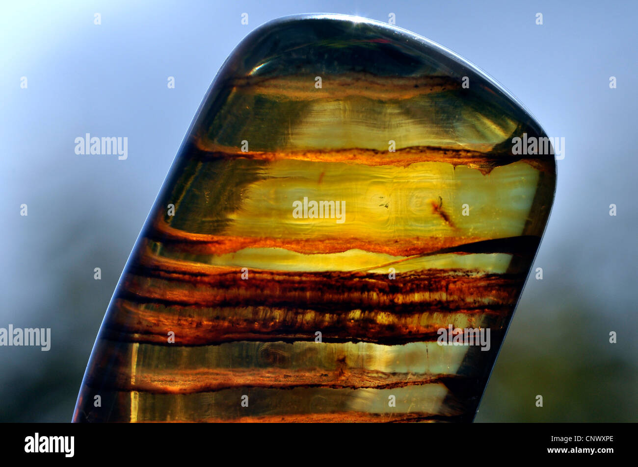 mexican amber with parallel layers Stock Photo - Alamy