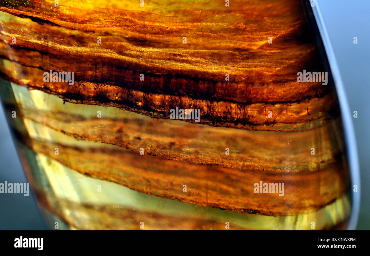 mexican amber with parallel layers Stock Photo - Alamy