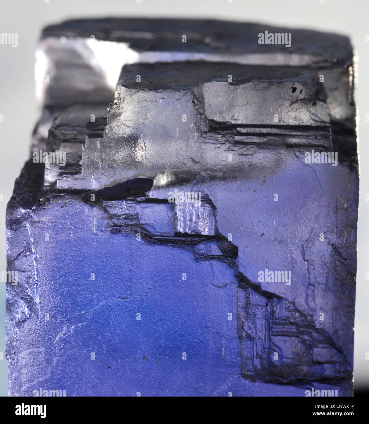 Halit hi-res stock photography and images - Alamy