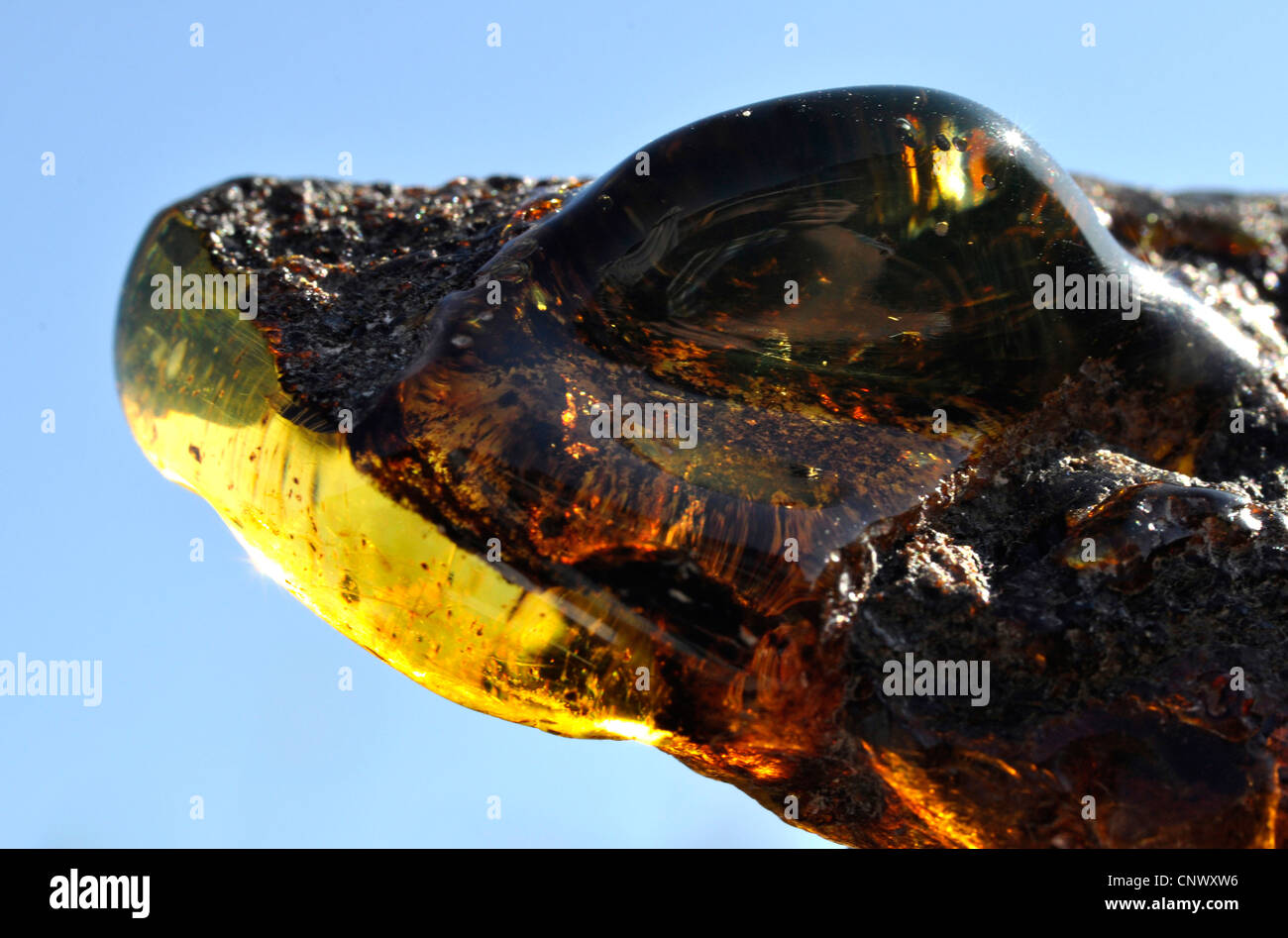 Amber minerals hi-res stock photography and images - Alamy