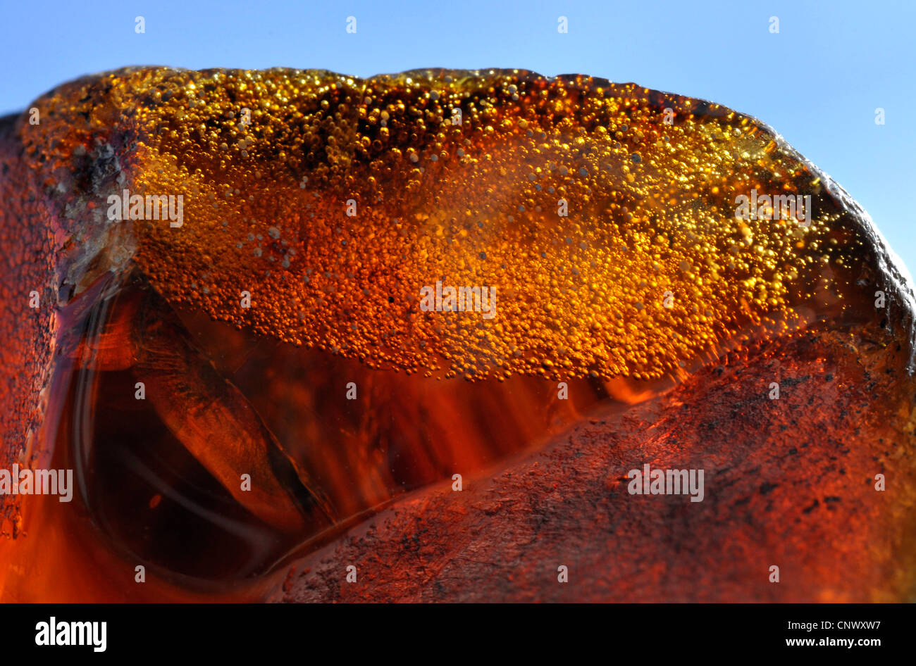 mexican amber with included bubbles Stock Photo - Alamy