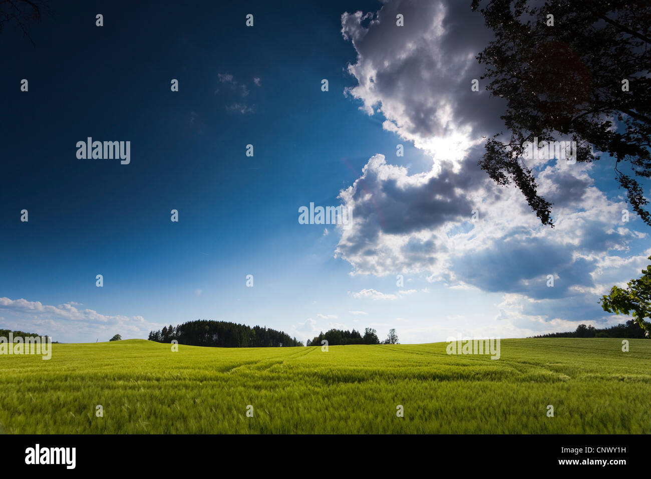 Dark field clouds hi-res stock photography and images - Alamy