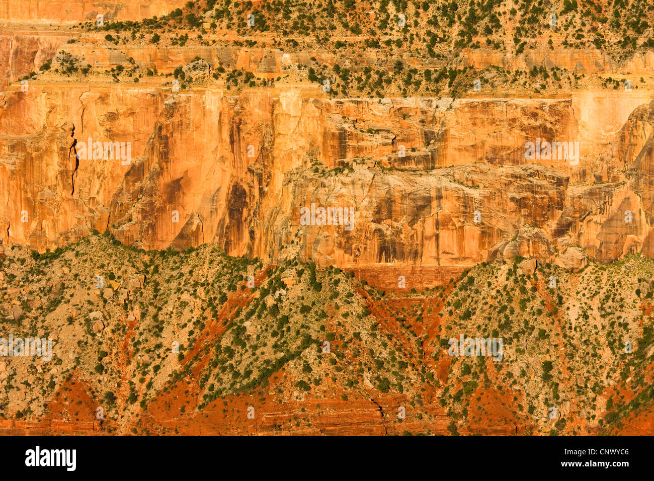 section of overgrown rock walls of the Grand Canyon, USA, Arizona ...