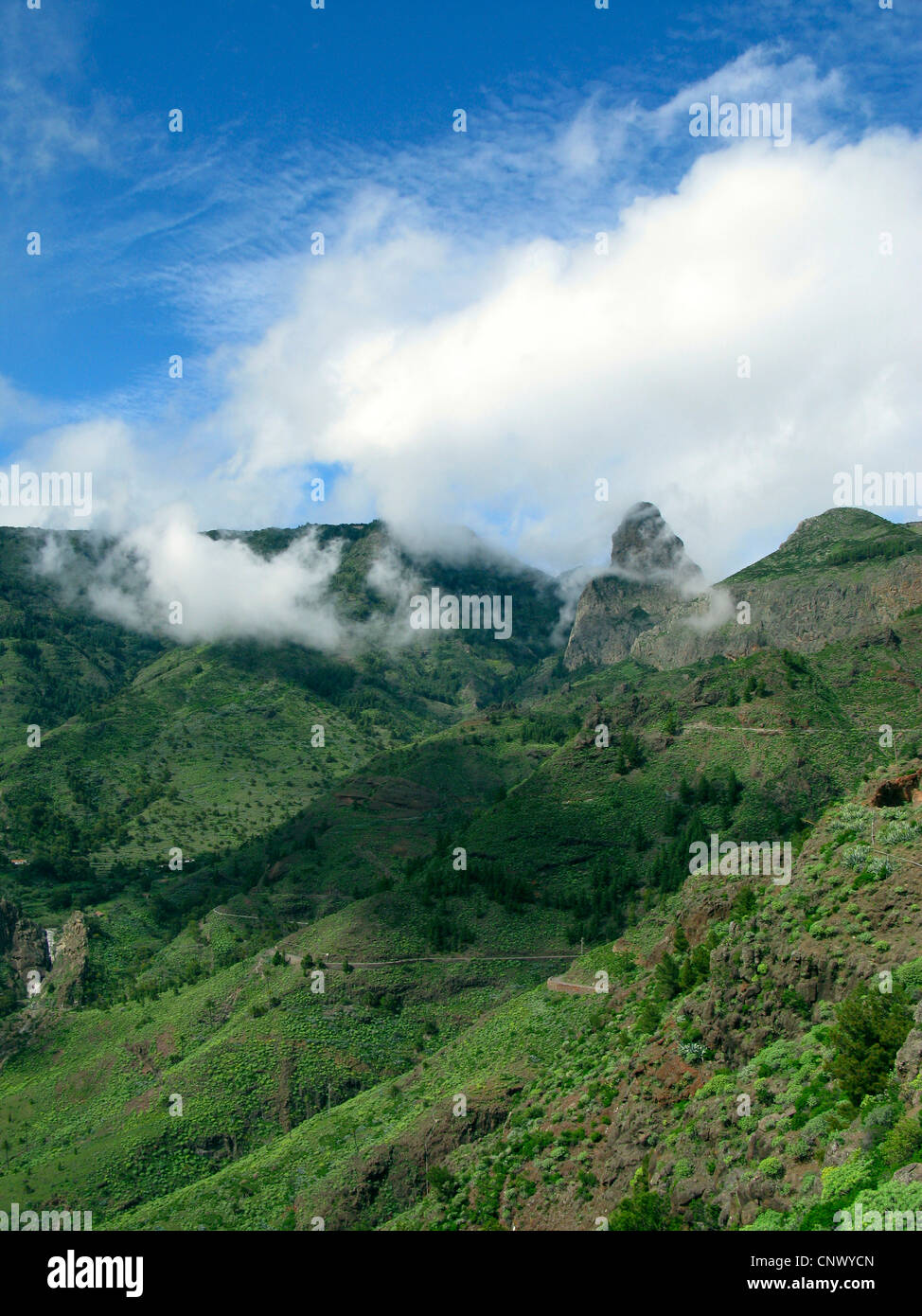 Benchijigua valley hi-res stock photography and images - Alamy