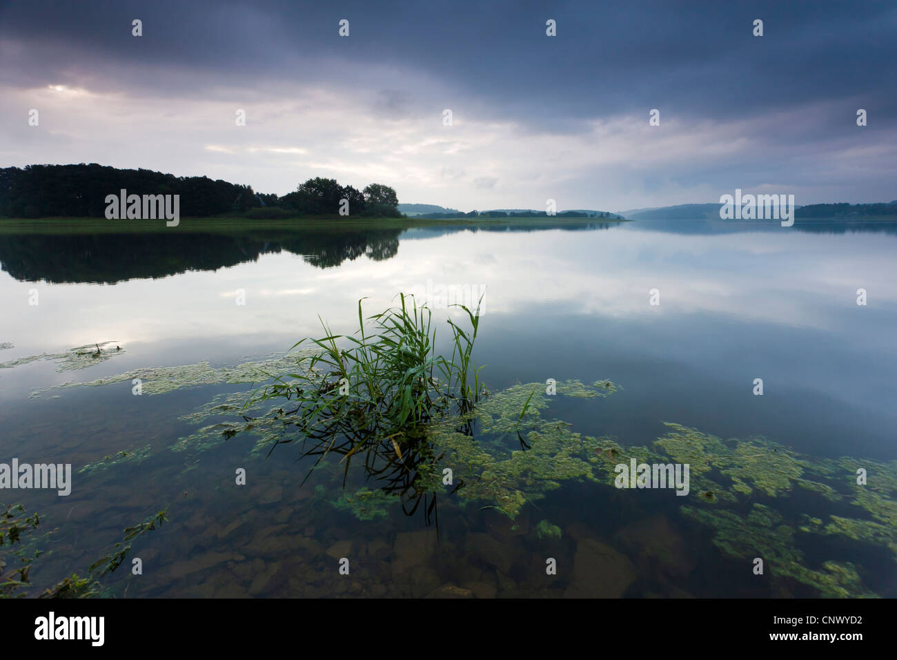 waterfront of lake Bleiloch with thunderclouds, Germany, Thueringen ...