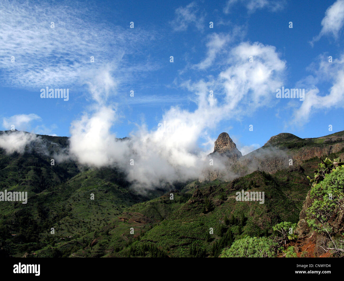 Benchijigua valley hi-res stock photography and images - Alamy