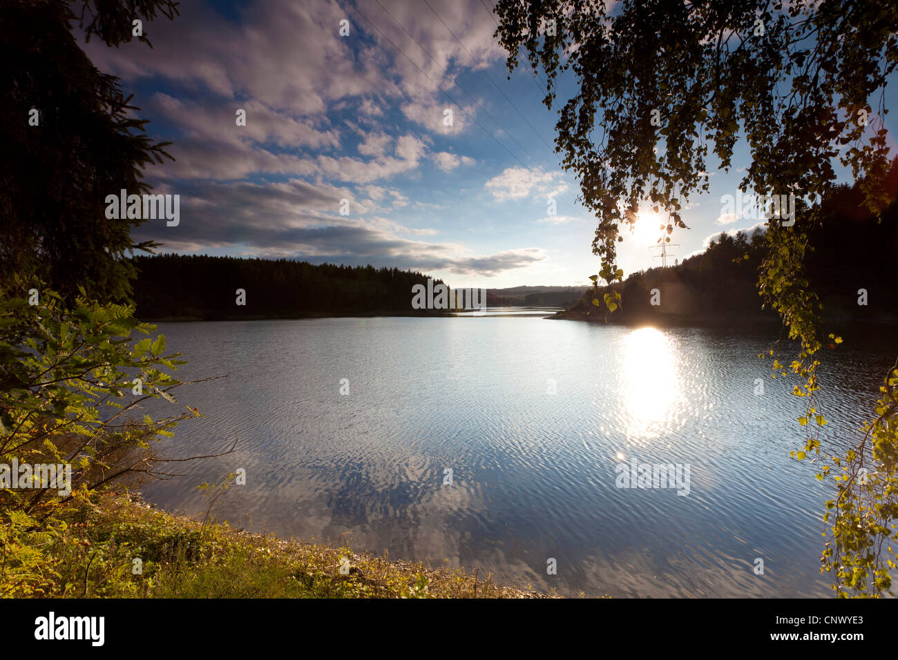 Lake Bleiloch in morning light, Germany, Thueringen, Bleiloch-Talsperre ...