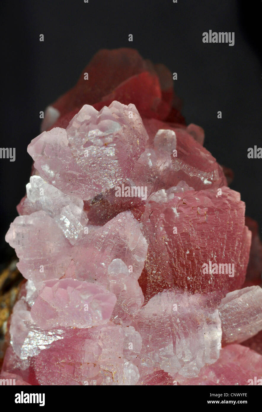 Cobalt mineral hi-res stock photography and images - Alamy