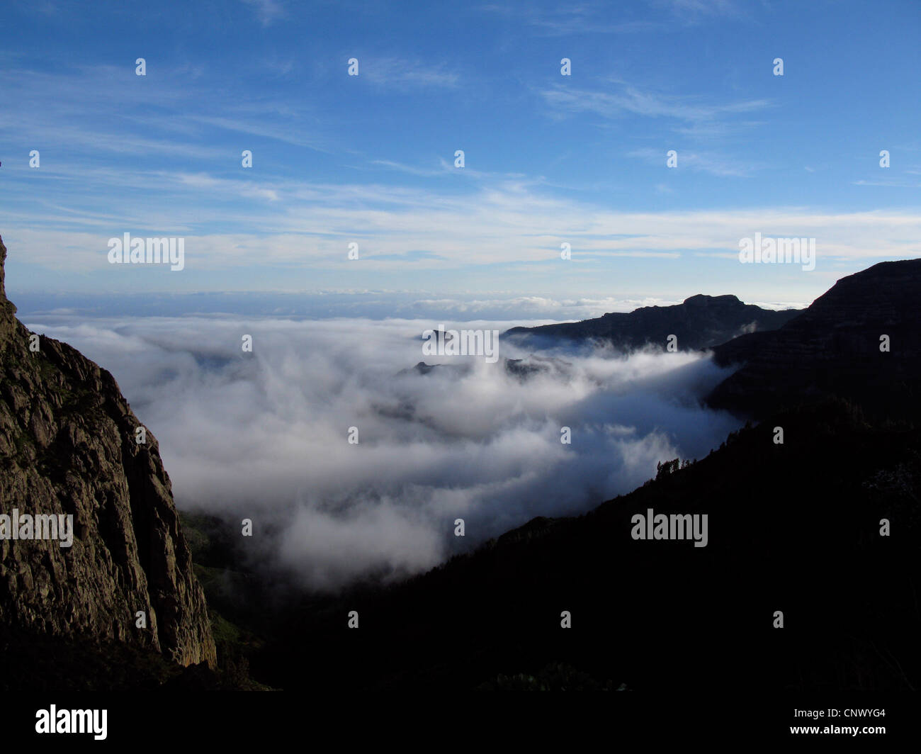 Benchijigua valley hi-res stock photography and images - Alamy