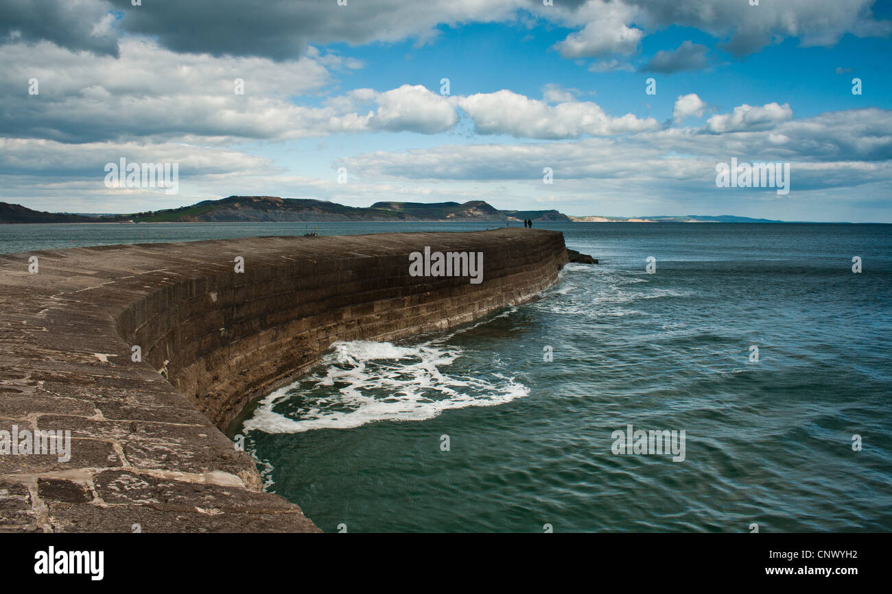 The Cobb wall at Lyme Regis, Dorset on a sunny spring day Stock Photo ...
