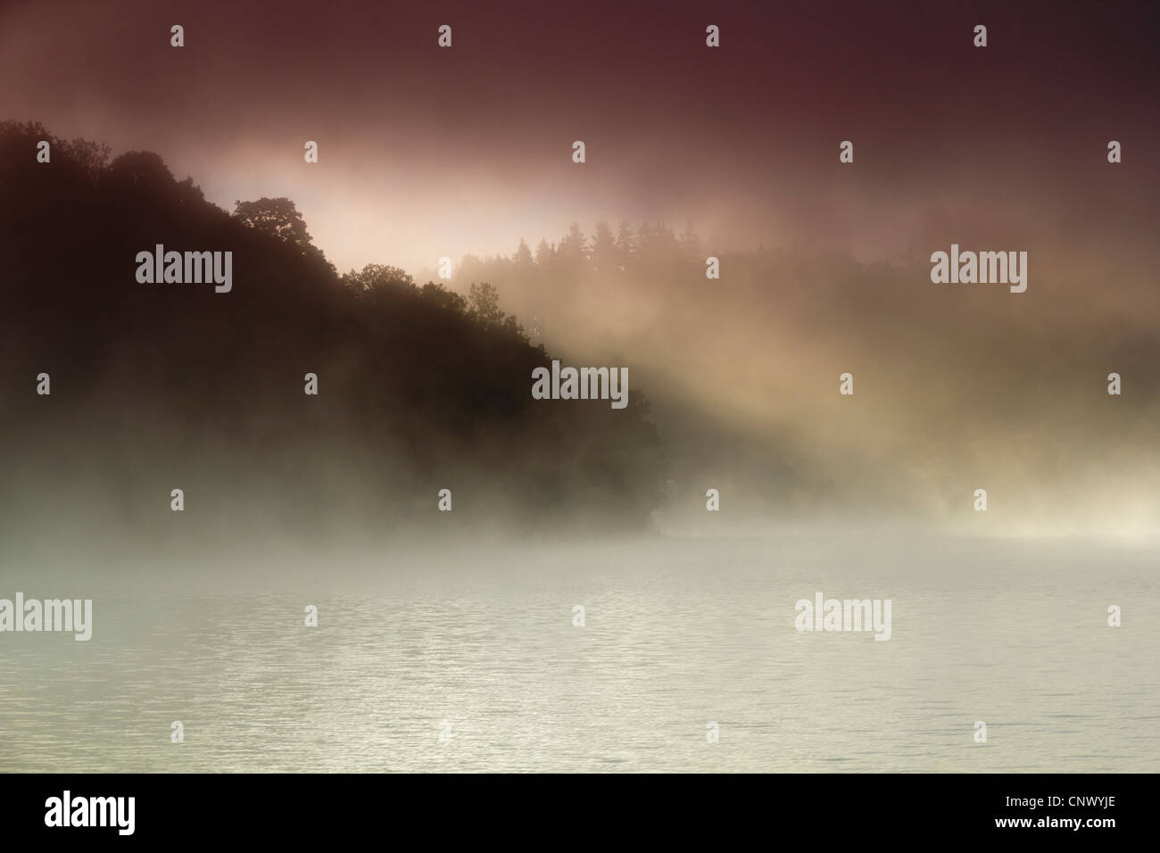 morning mist at lake Bleiloch, Germany, Saxony, Bleiloch-Talsperre ...