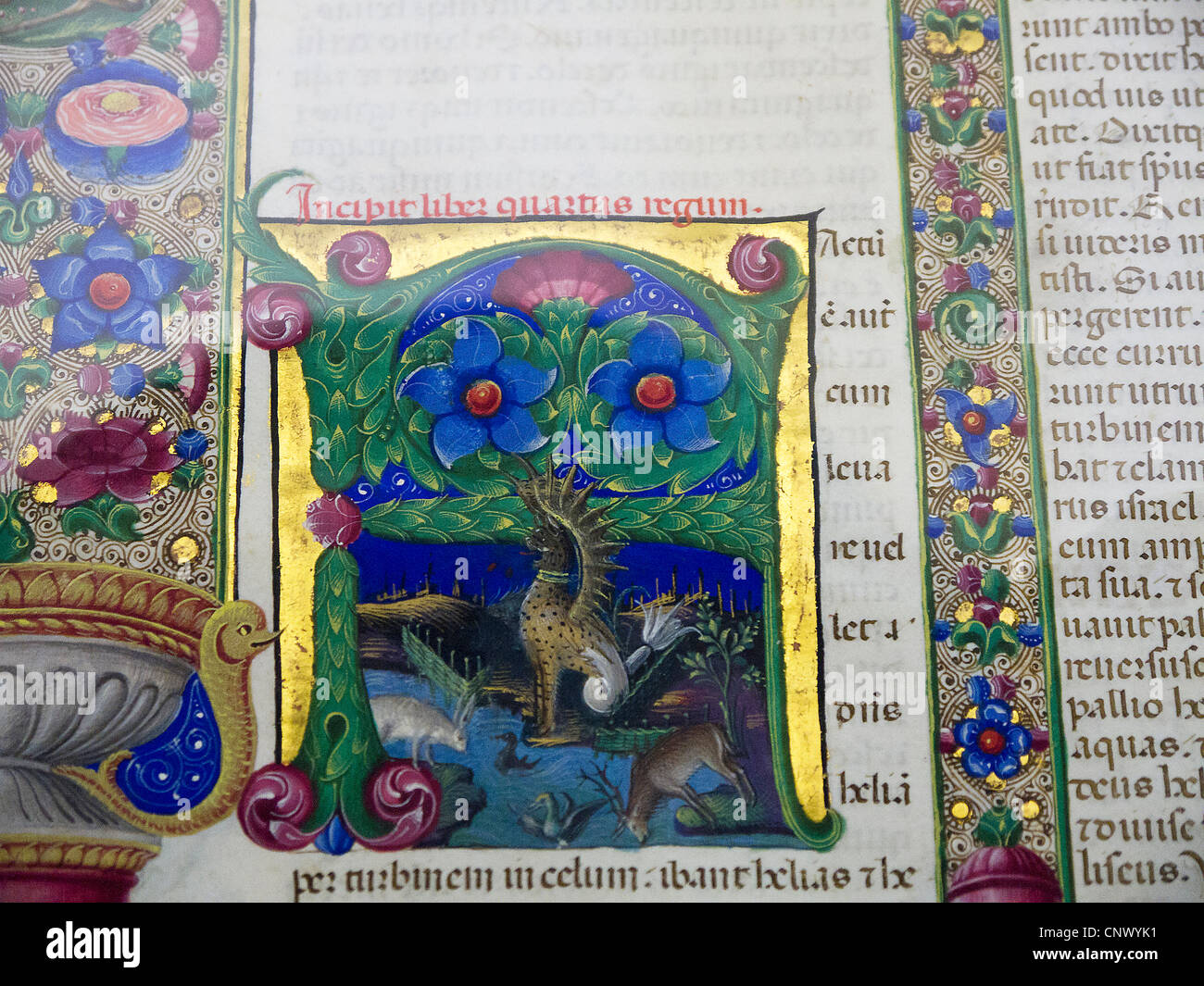 Medieval anatomy face hi-res stock photography and images - Alamy