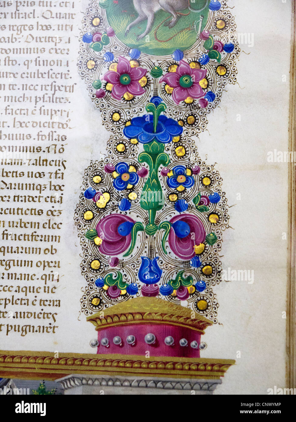 Medieval Food Manuscript High Resolution Stock Photography and Images ...