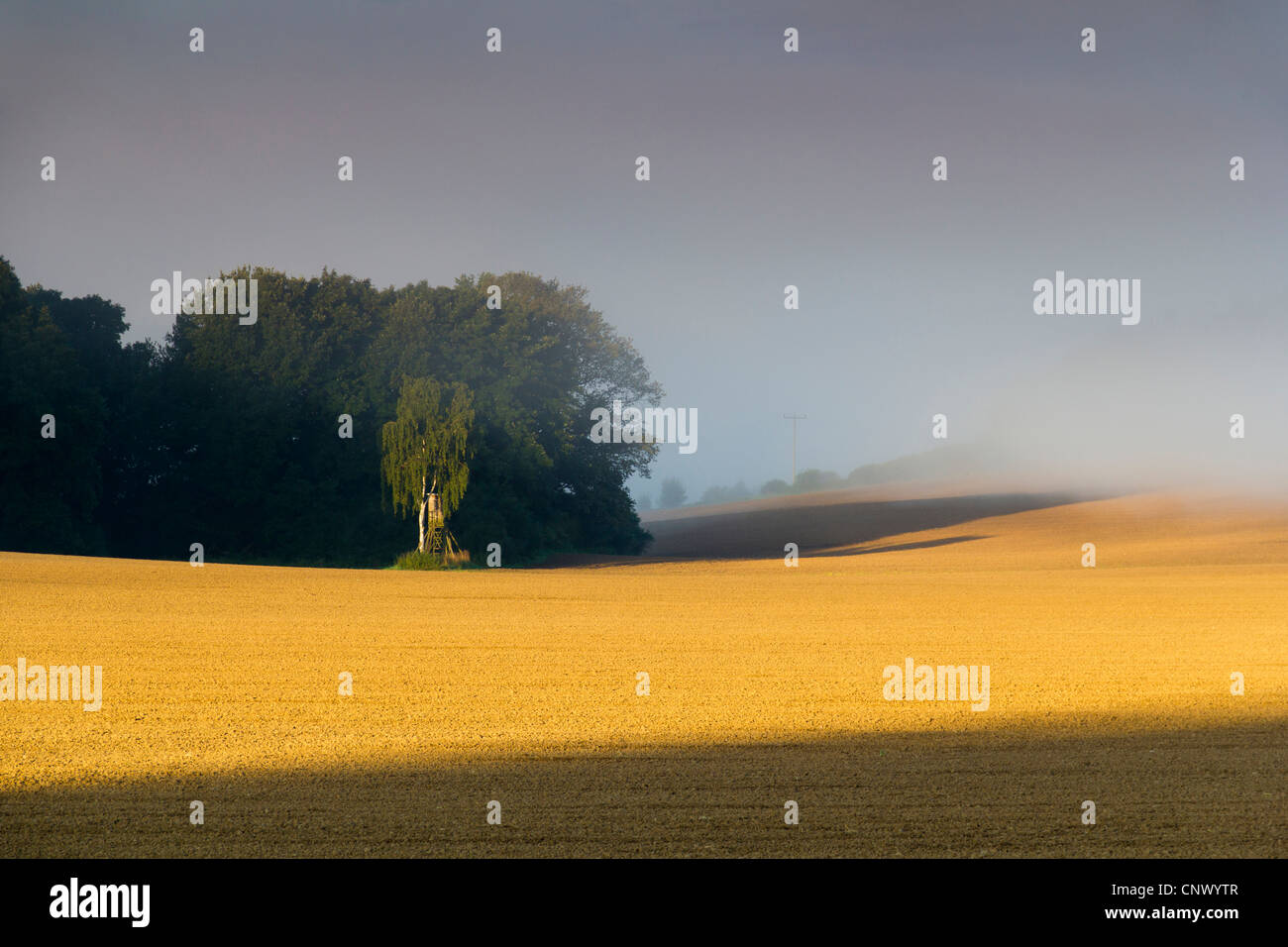 Stubble clearing hi-res stock photography and images - Alamy