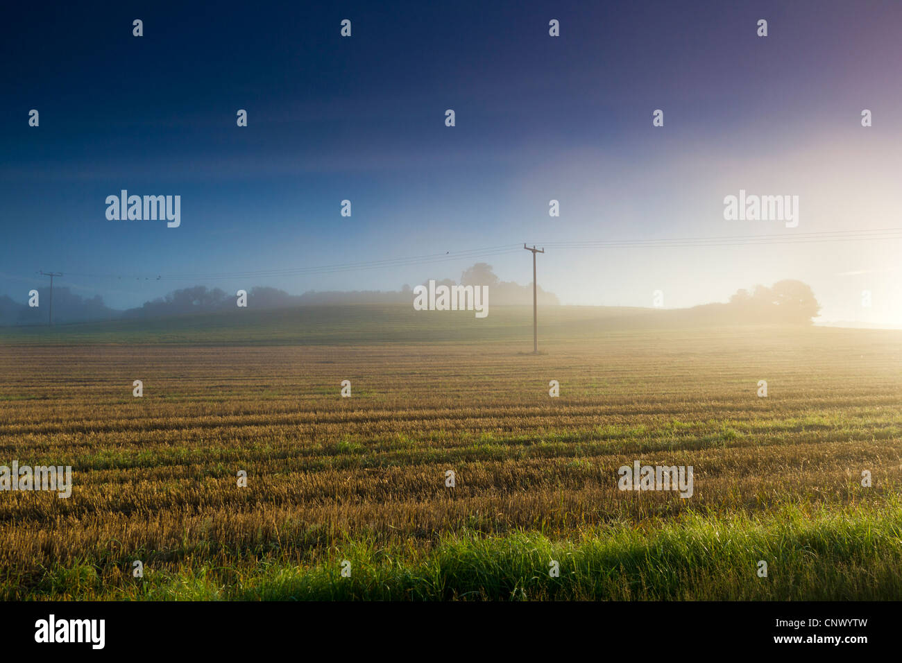 stubble field and power pole in the morning with morning mist clearing ...