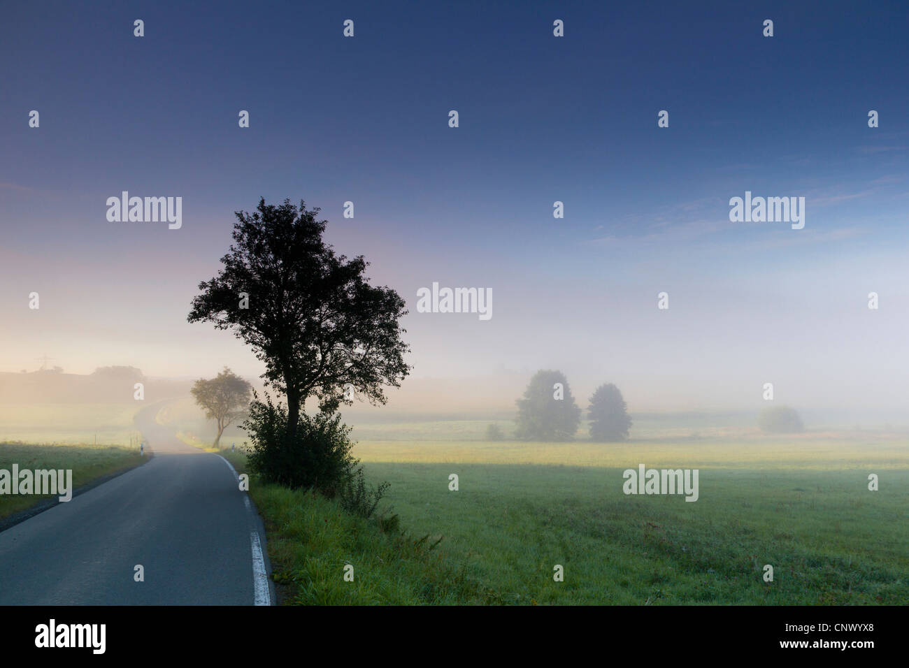country road with meadows in morning mist clearing away, Germany ...