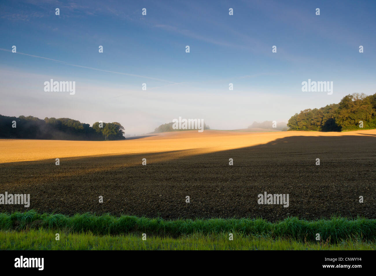 Clearing land for farming hi-res stock photography and images - Alamy
