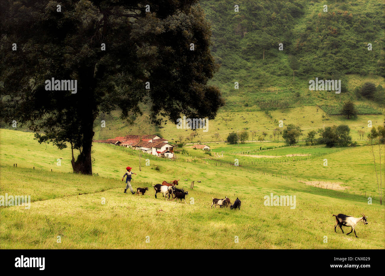 Acul guatemala hi-res stock photography and images - Alamy