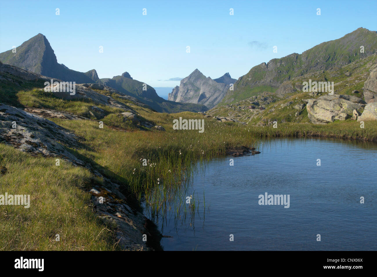 bog and pond and Helvetestinden mountain, Norway, Lofoten Islands ...