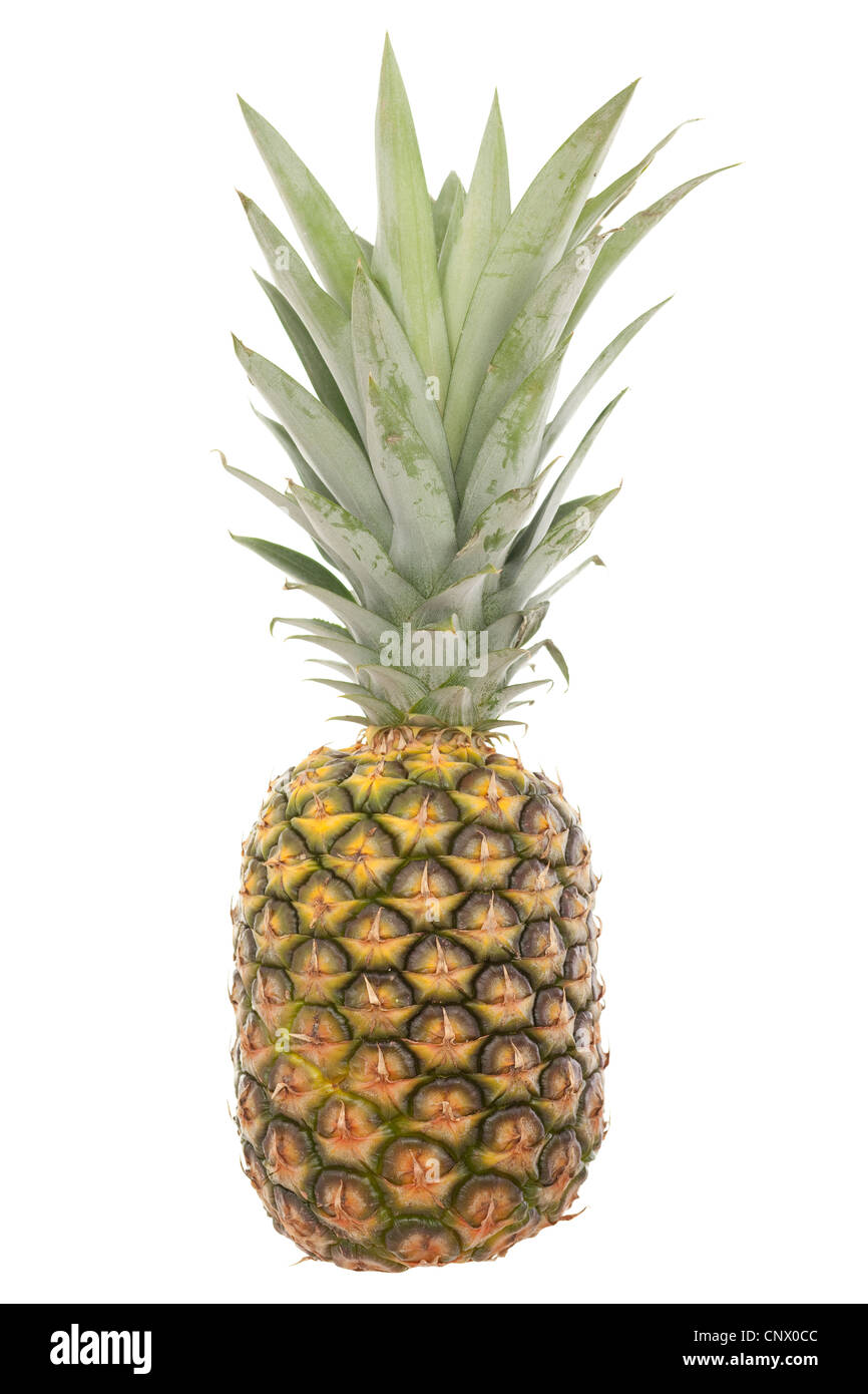 large pineapple with green leaves on white background Stock Photo - Alamy