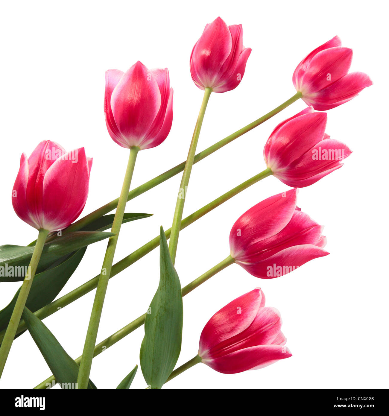 Easter abstract composition on Cut Out Stock Images & Pictures - Alamy