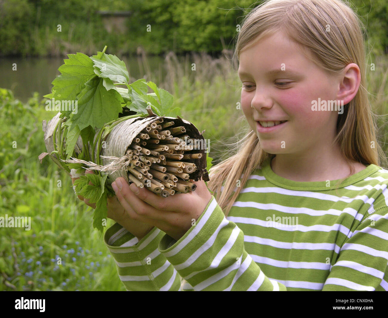 Children fair insect hi-res stock photography and images - Alamy