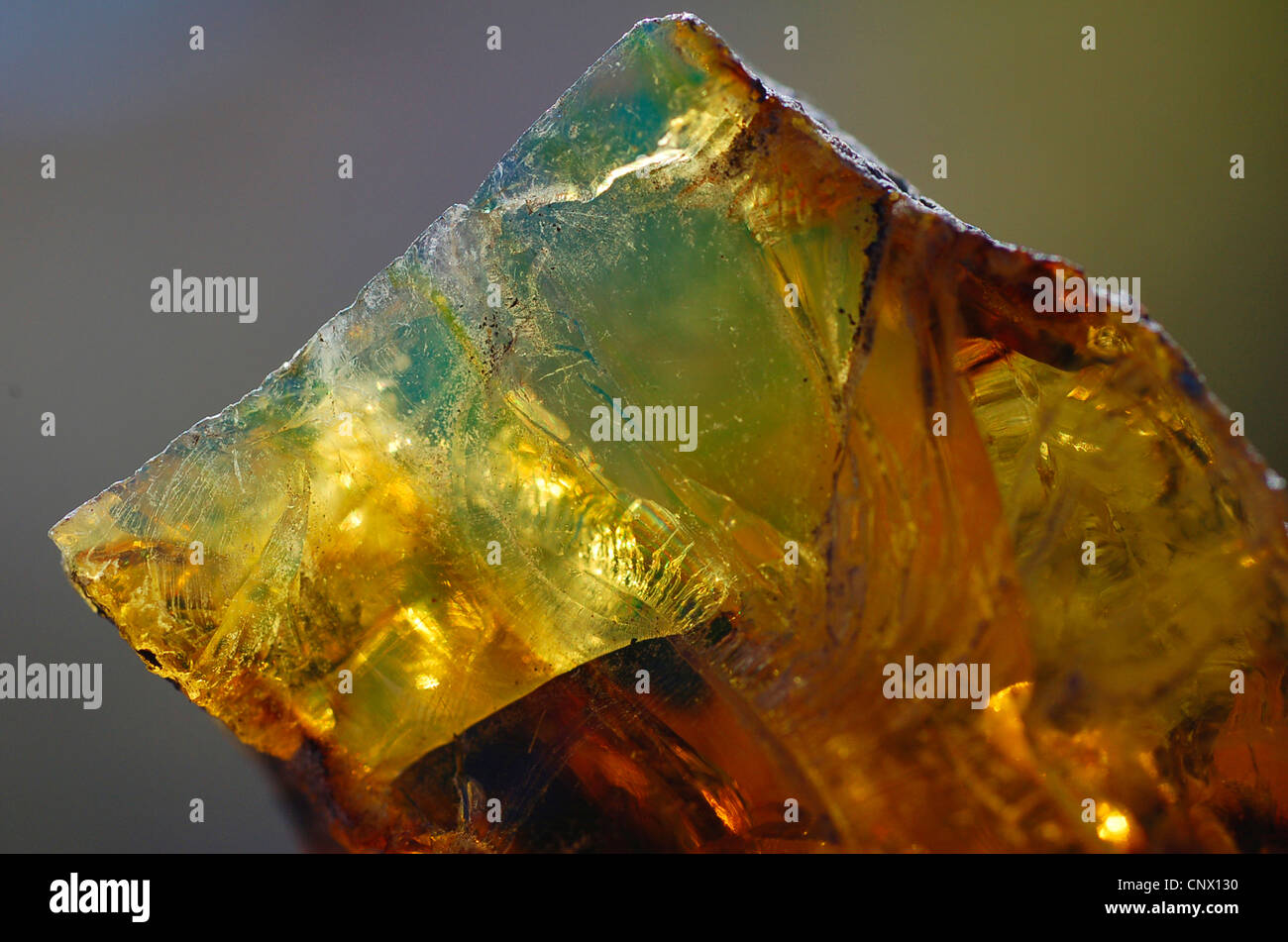 Mexican amber (raw stone Stock Photo - Alamy