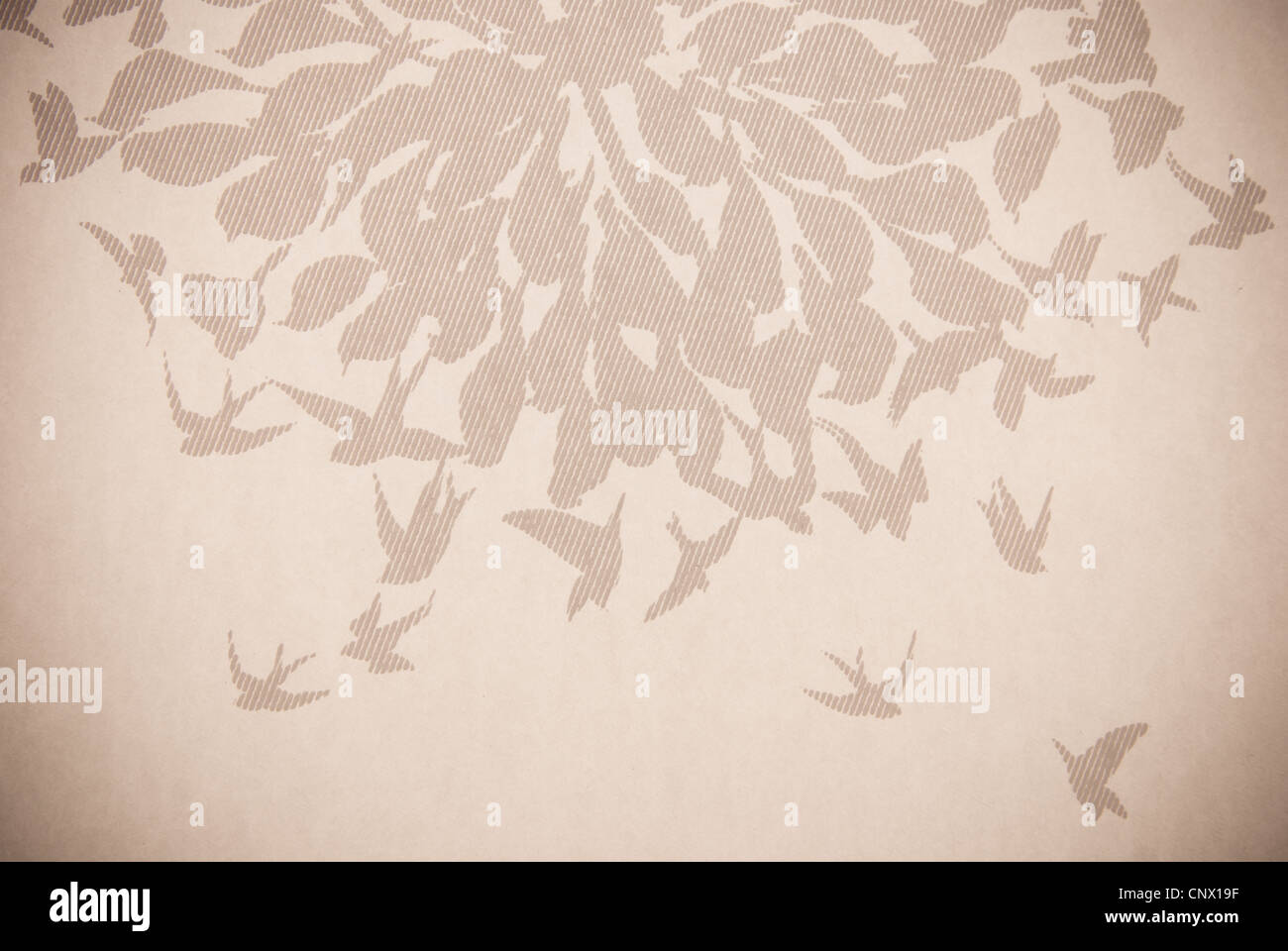 bird abstract background or texture Stock Photo - Alamy
