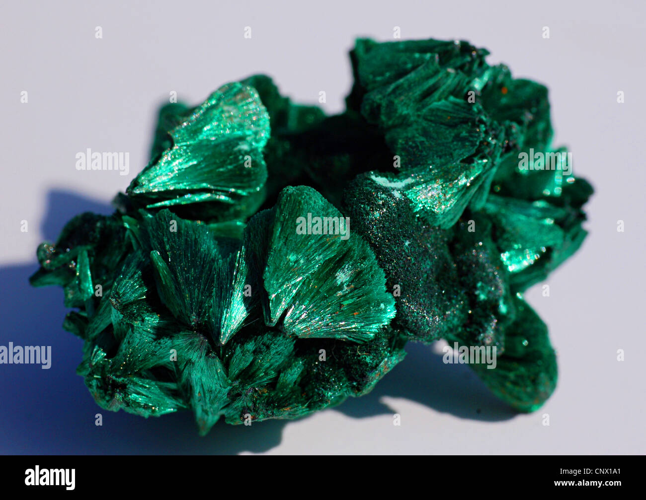 Green malachites hi-res stock photography and images - Alamy