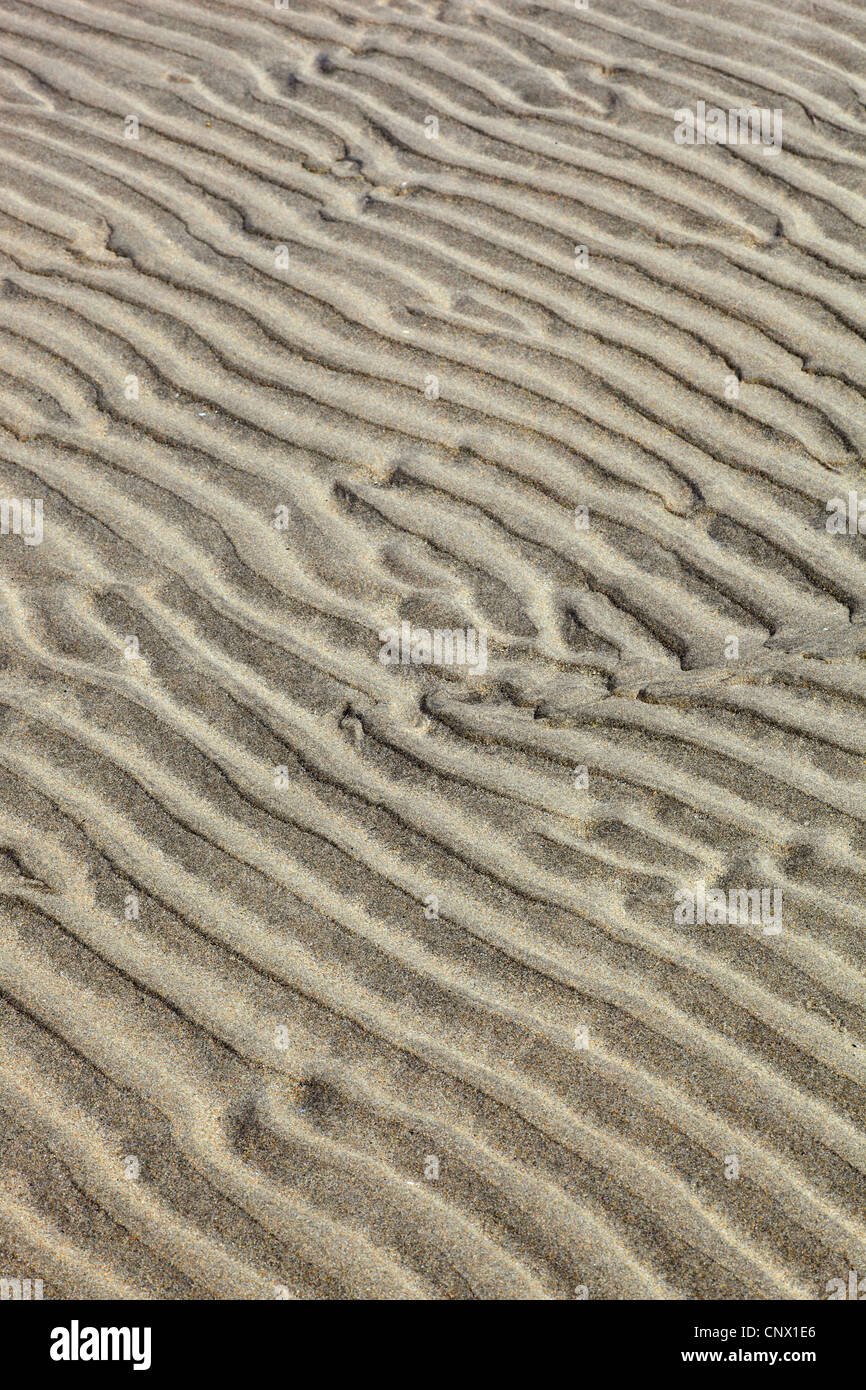 Seashore structures hi-res stock photography and images - Alamy