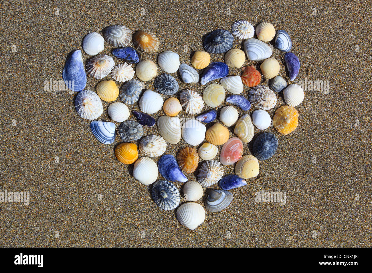 a heart of shells in the sand, United Kingdom, Scotland Stock Photo - Alamy