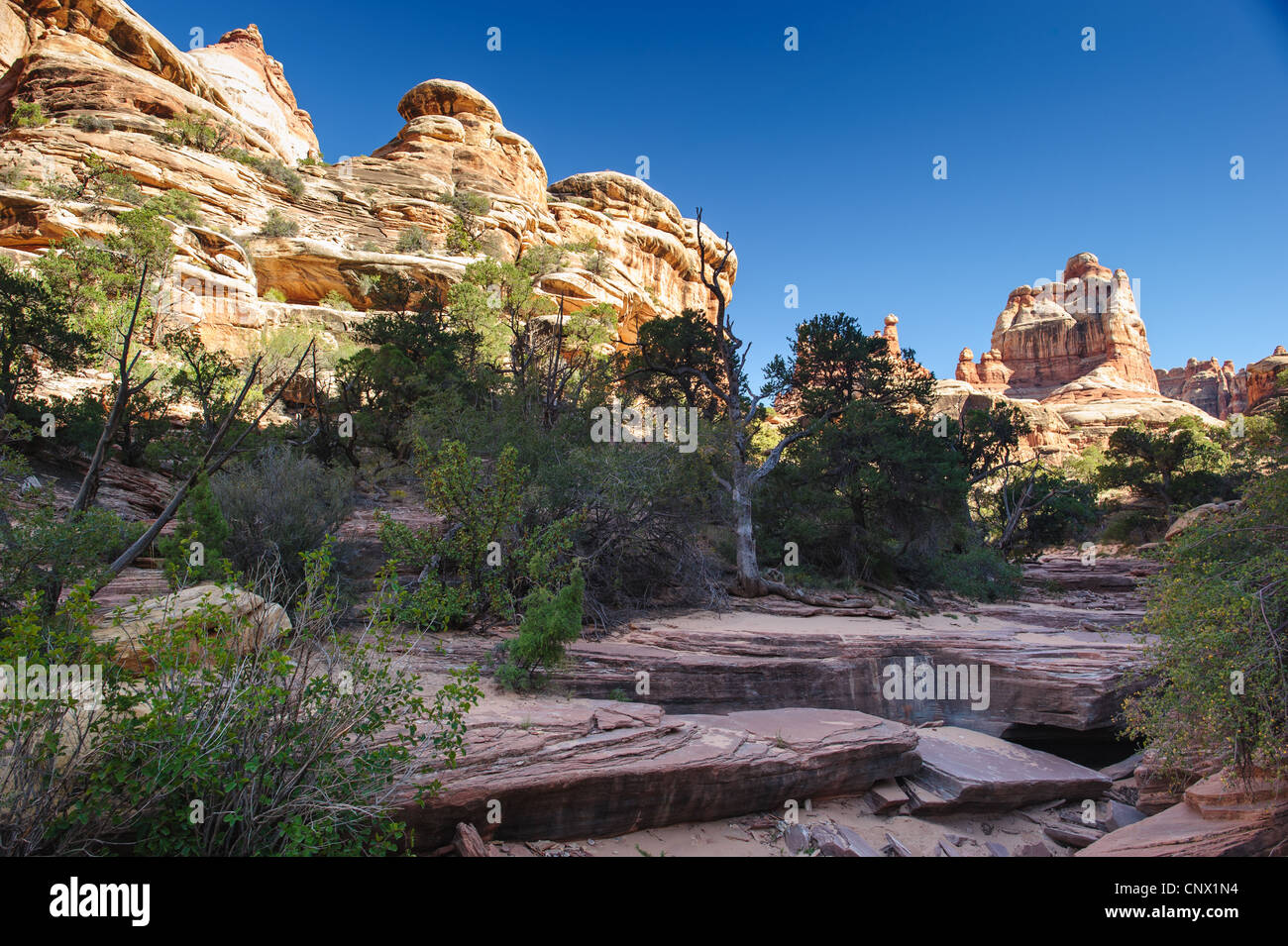 Needles rock formation and hiking trail in Needles District ...