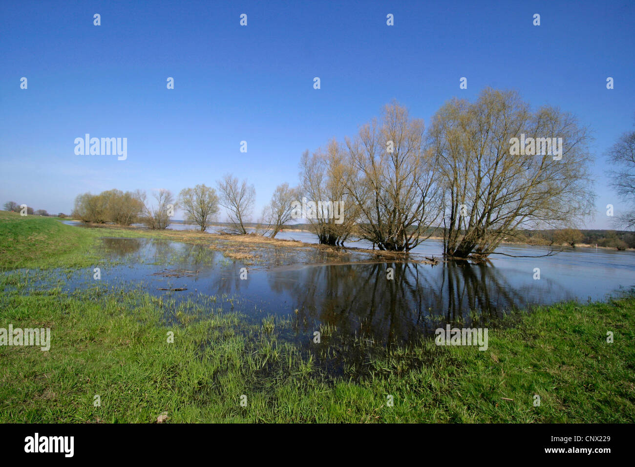 Oder river central europe hi-res stock photography and images - Alamy
