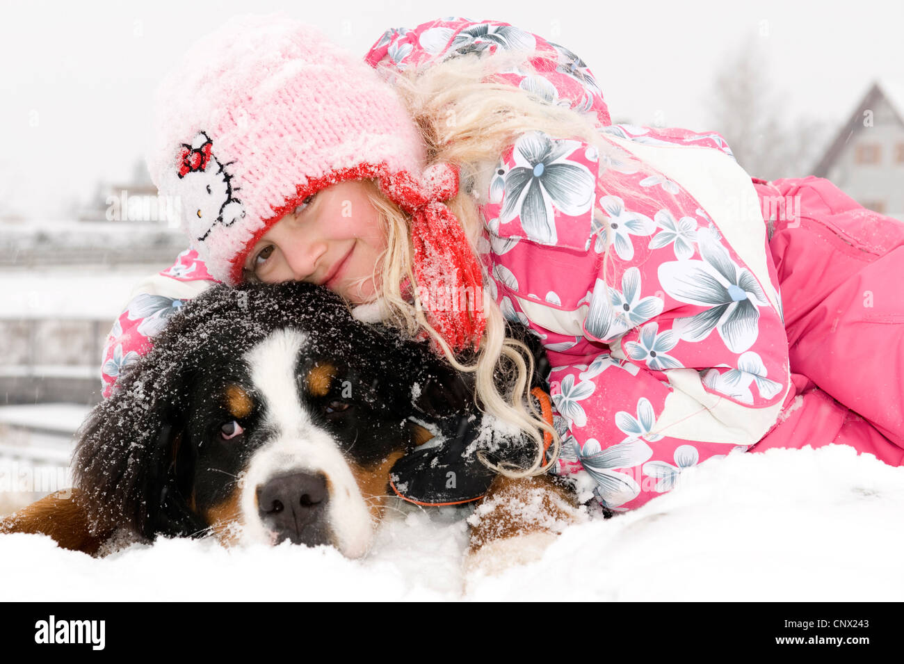 Bernese Mountain Dog (Canis lupus f. familiaris), girl lying with her ...