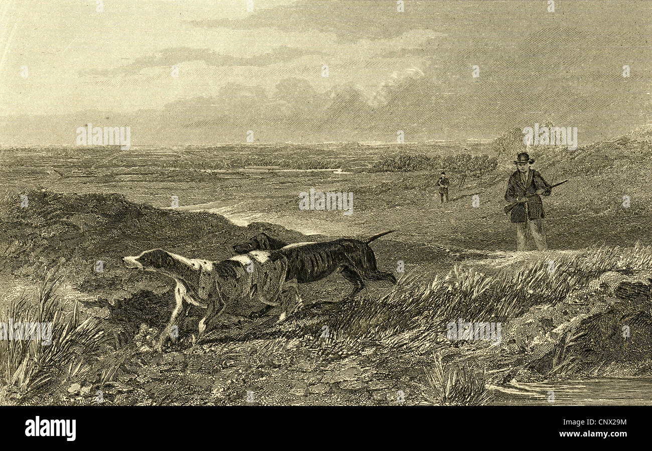 Partridge hunt hi-res stock photography and images - Alamy