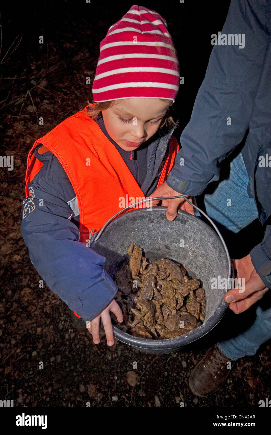 Toads in a bucket hi-res stock photography and images - Alamy