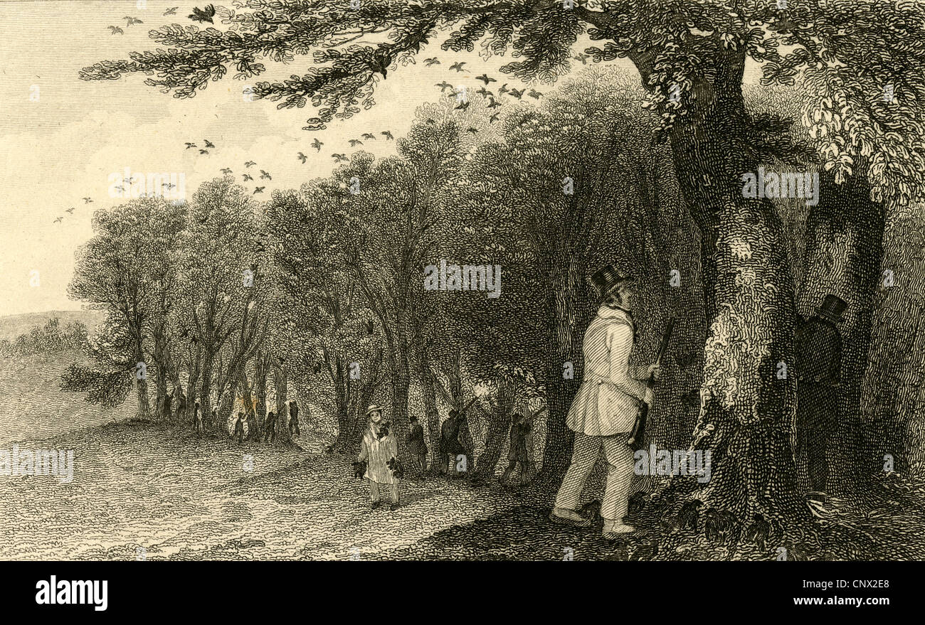 Gun shotgun engraving hi-res stock photography and images - Alamy