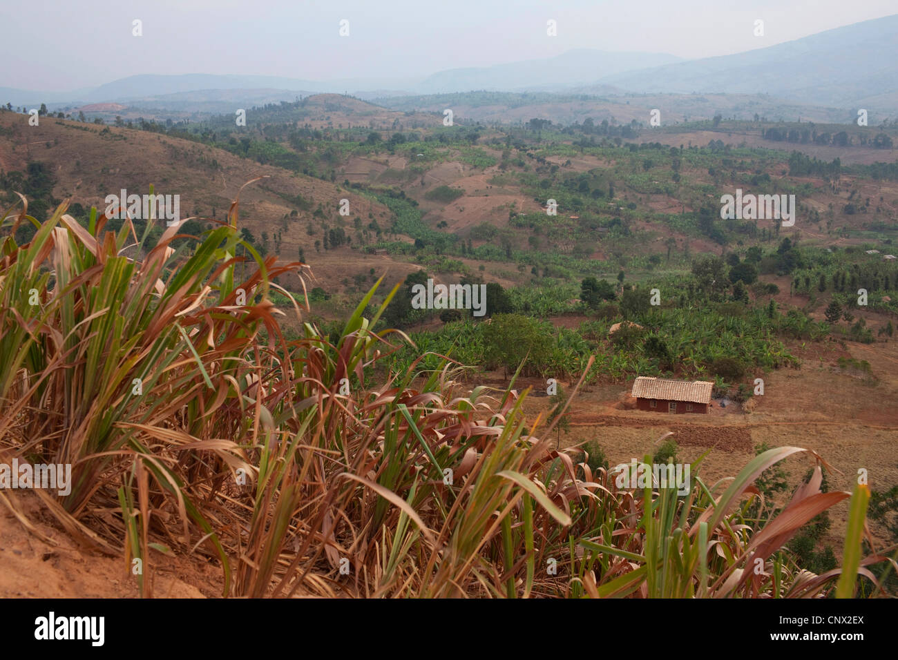 mud house standing in valley, Burundi, Karuzi, Karuzi Stock Photo - Alamy