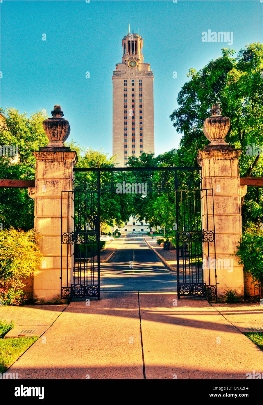 The University of Texas's iconic UT Tower Stock Photo - Alamy