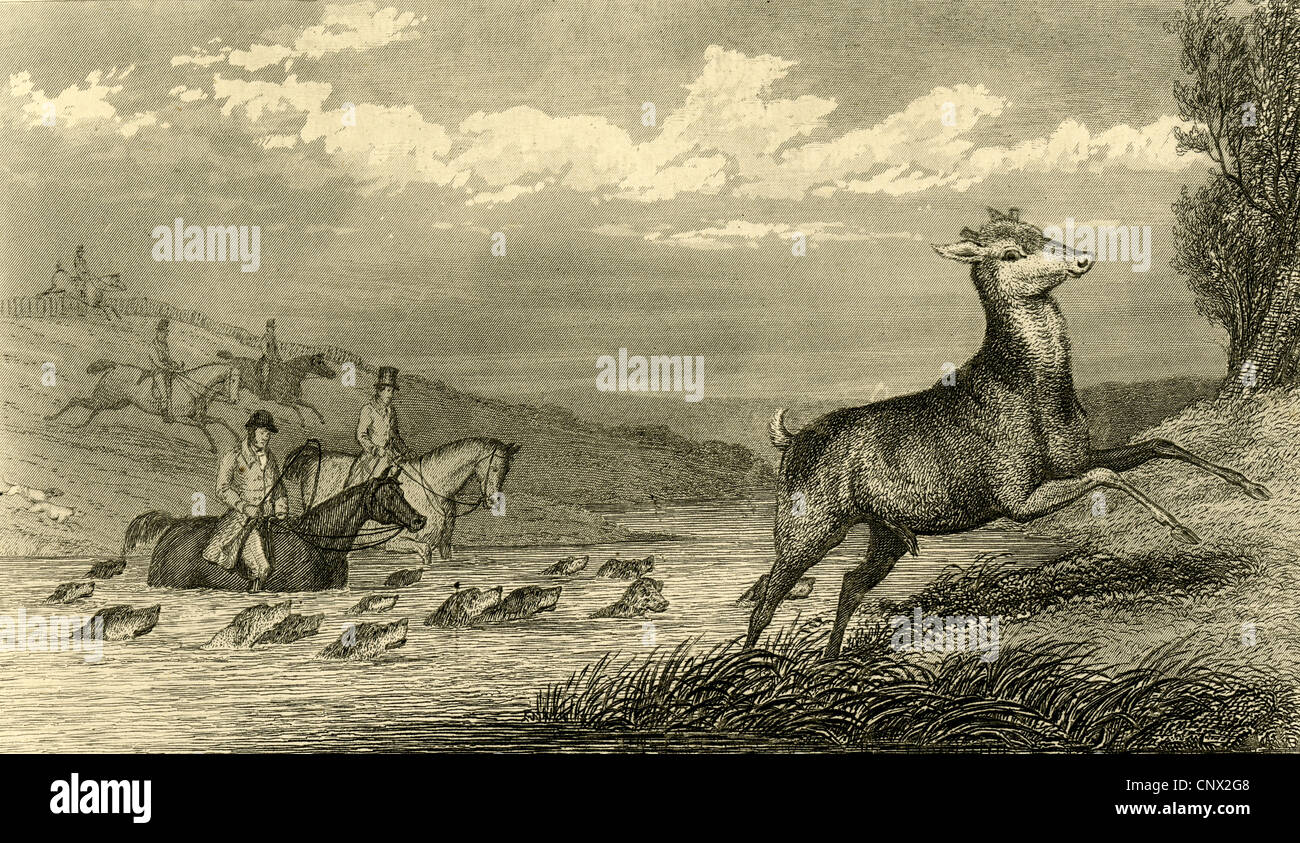 Quarry prey victorian horse horses ford fording steel engraving hi-res ...