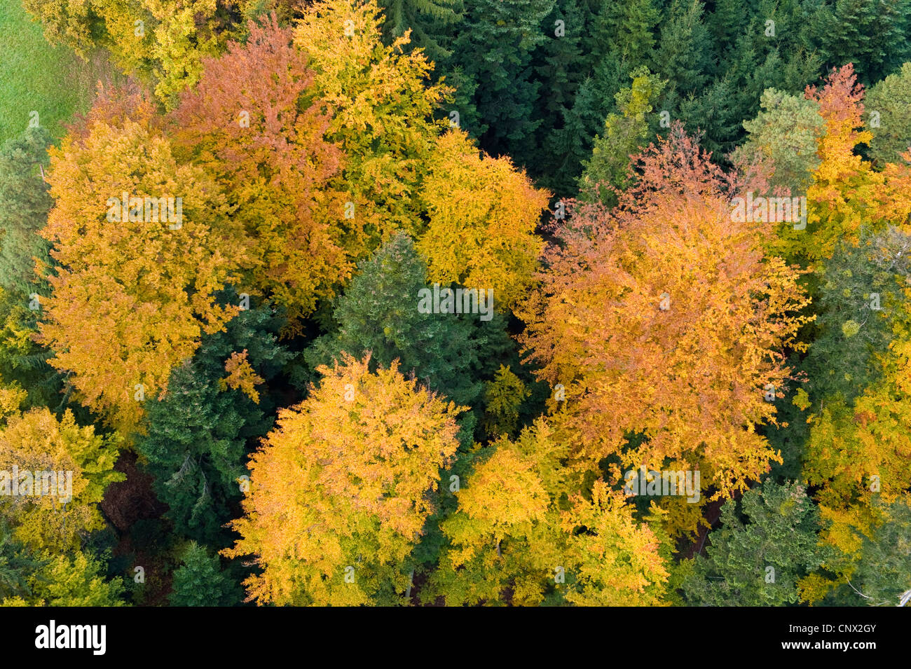 Austrian ecosystems hi-res stock photography and images - Alamy