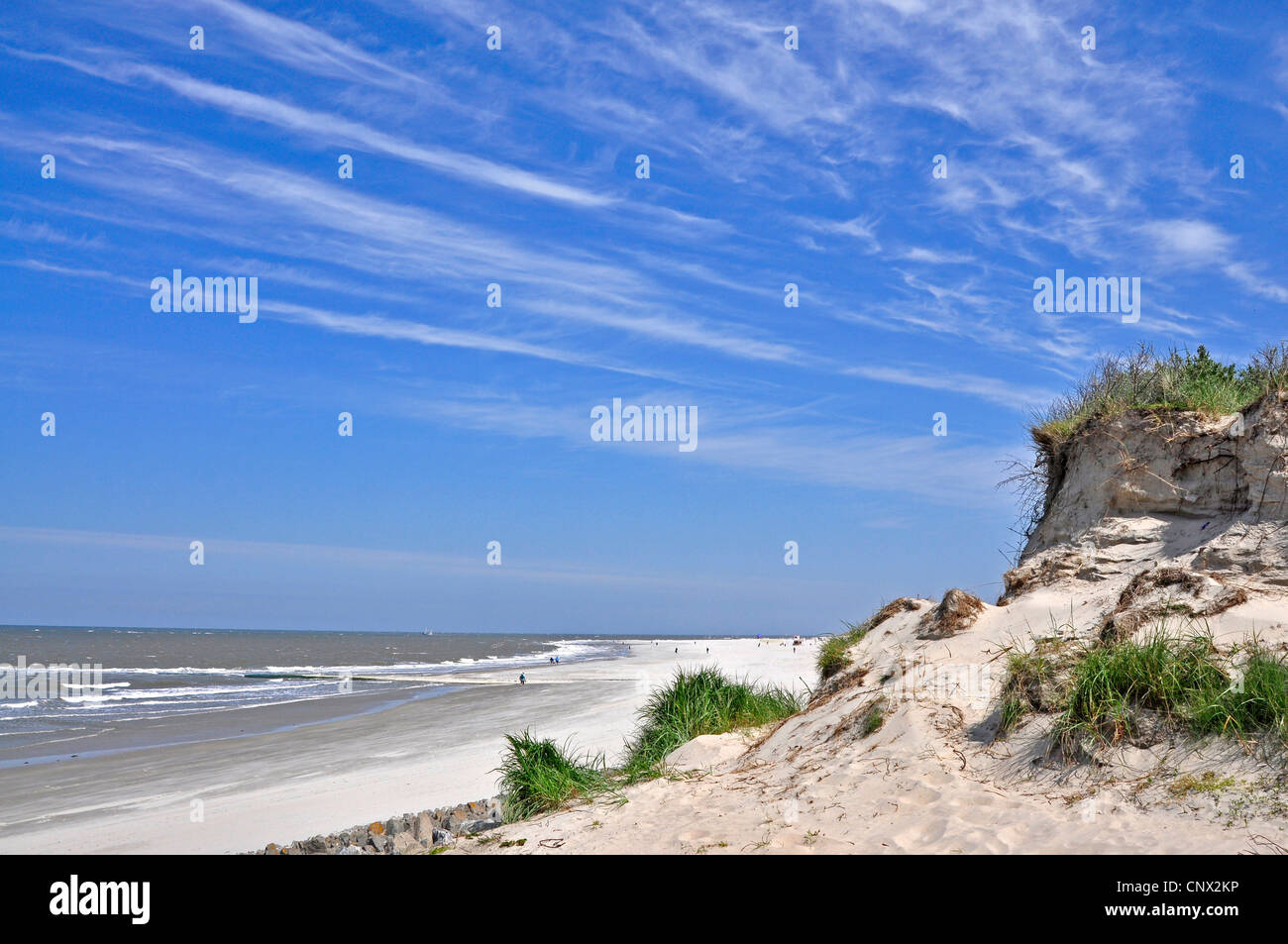 coastal landscape of Baltrum island, Germany, Lower Saxony, Baltrum ...