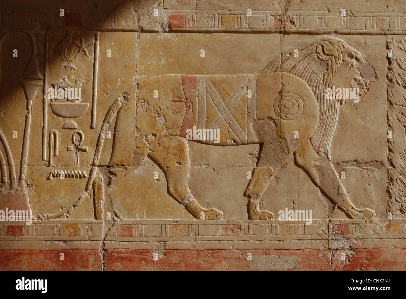 Lion. Relief in the Mortuary Temple of Queen Hatshepsut at Deir el ...