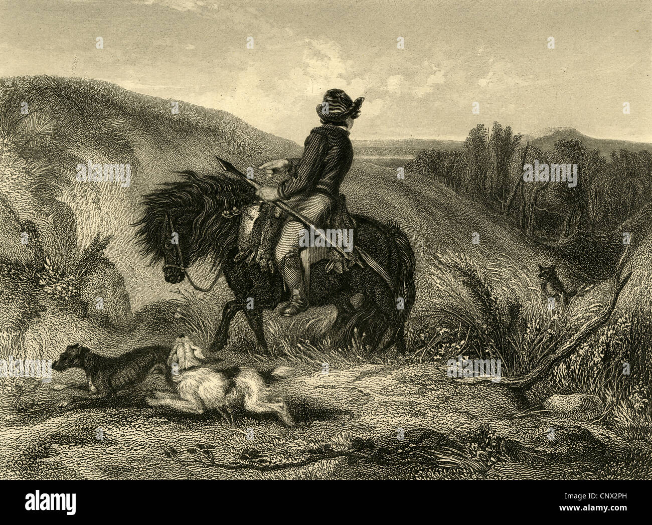 Warrener hi-res stock photography and images - Alamy