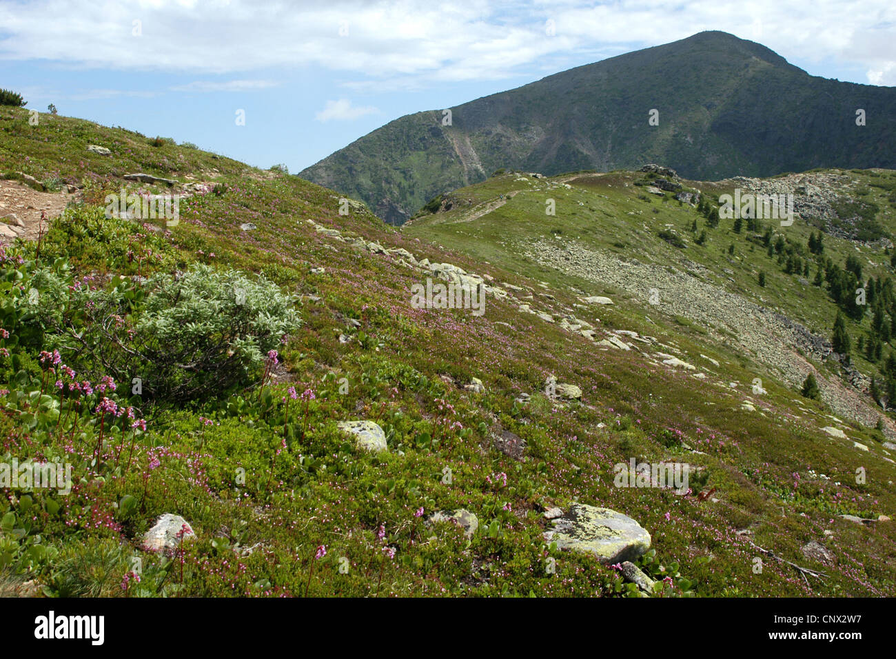 Czerski Peak (2,090 m) in the Khamar-Daban Range near Lake Baikal ...