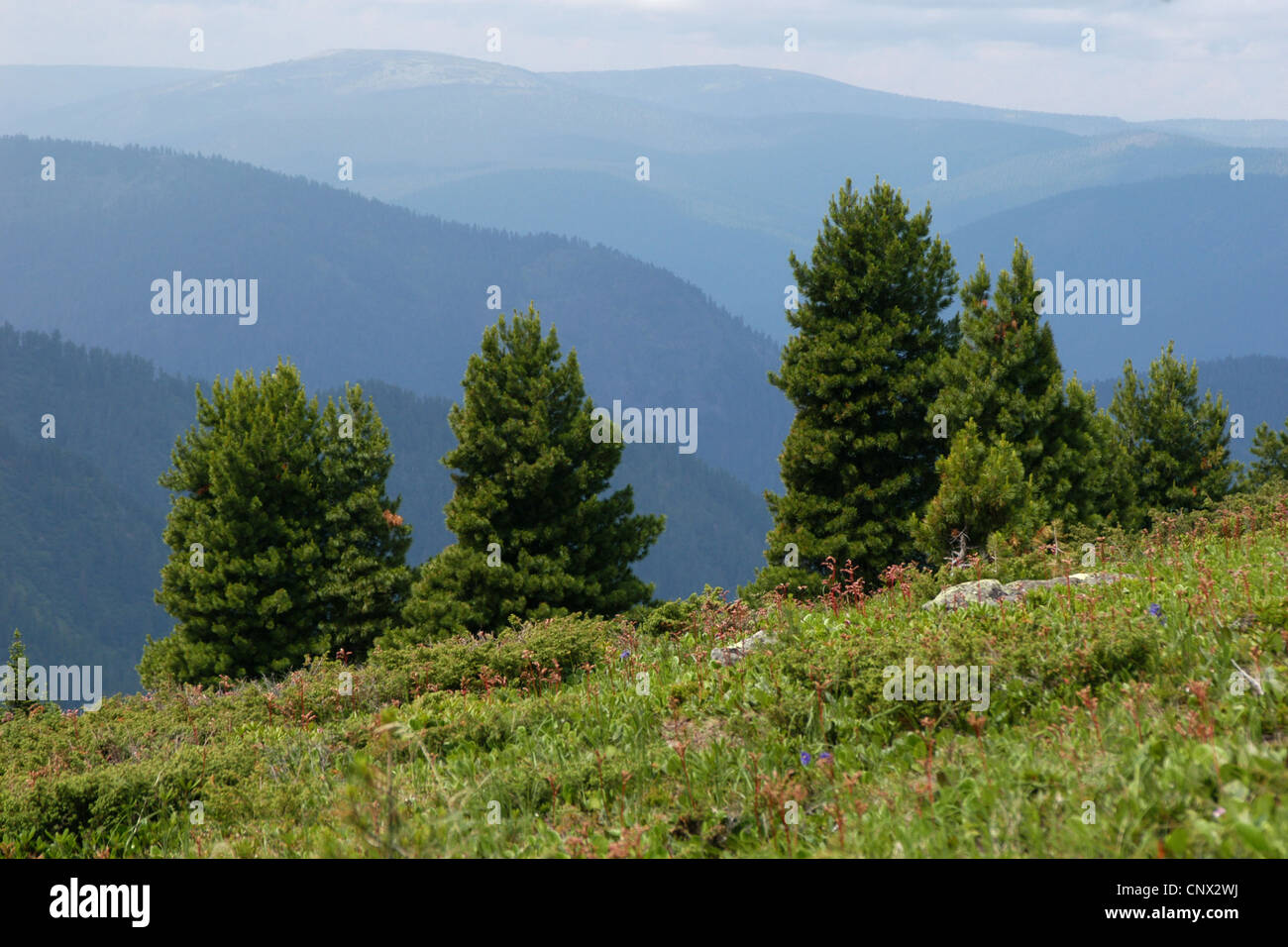 Khamar daban range hi-res stock photography and images - Alamy